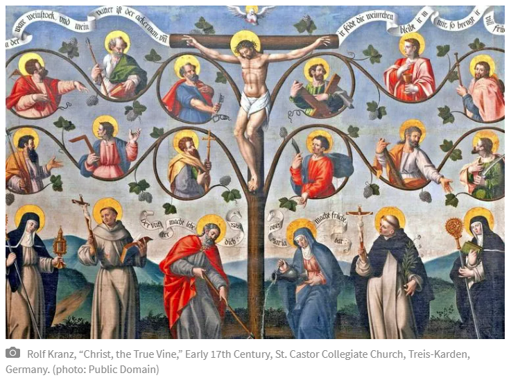 2026 01-11 We Focus on Baptism and the Week of Prayer for Christian ...